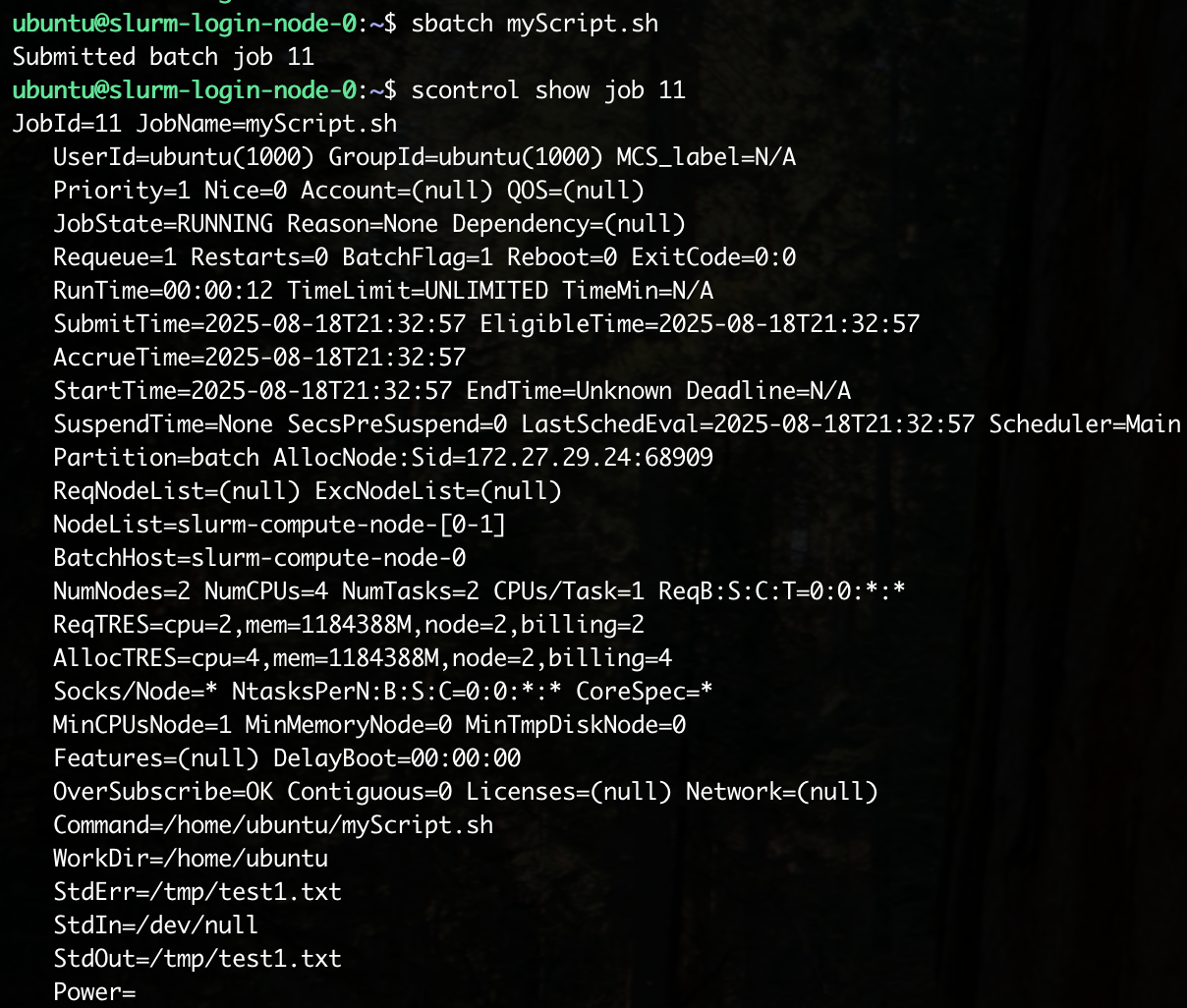 FAQ: Slurm Commands Basics – Crusoe Support